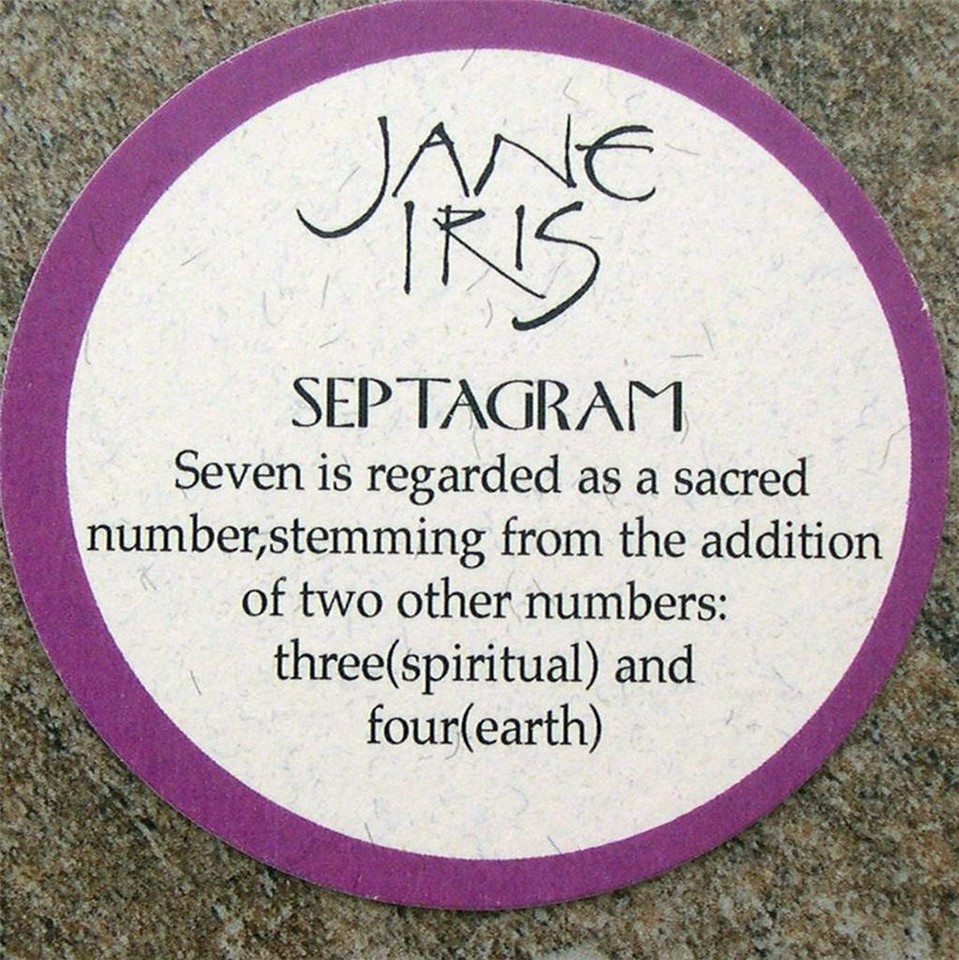 .925 Silver SEPTAGRAM Pendant and Leather Cord 7 SISTERS Feminist Woman ...