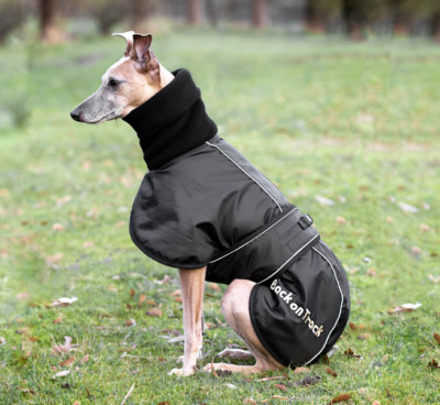 Back on Track® Therapy Canine Dog Whippet Rug | eBay UK