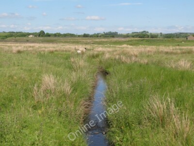Photo 6x4 Drain on Holly Rigg Halton Lea Gate c2010 | eBay UK