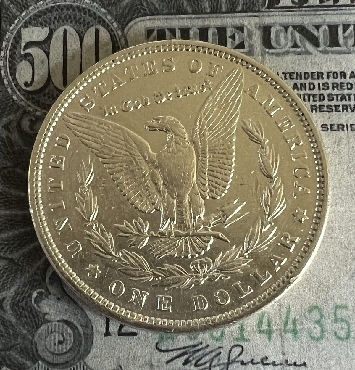 1884-P High Grade - Uncirculated - Proof Like - Morgan Silver Dollar | eBay