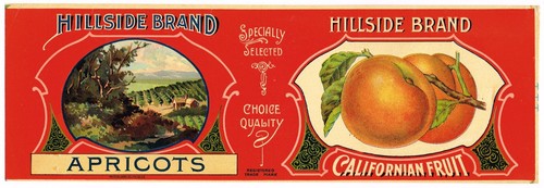 GENUINE VINTAGE CAN LABEL C1900 HILLSIDE APRICOTS CALIFORNIA FRUIT ...