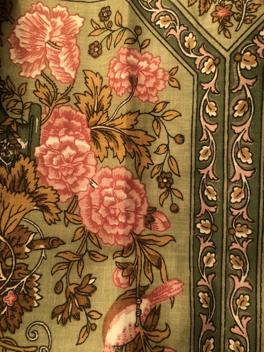 Colonial Cotton Plant