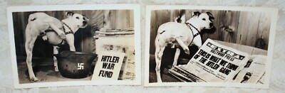 130o. 2x EKC RPPC PROPAGANDA; ANTI HITLER, WAR FUND, DOG EXPRESSES HIS ...