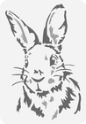 7"x10" Clear Plastic Stencil - Bunny Rabbit (RE240) | eBay