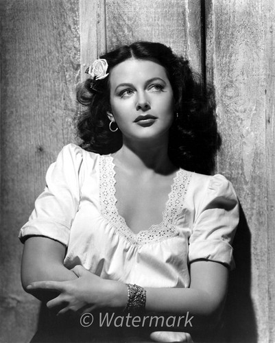 Hedy Lamarr - Vintage celebrity Hollywood actress -8X10 PUBLICITY PHOTO ...
