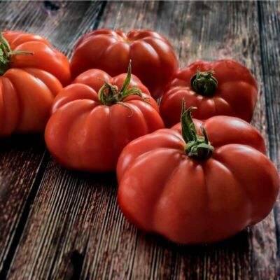 Tomato (Rouge de Marmande) - 15 Seeds - Organic Heirloom Tomatoes ...