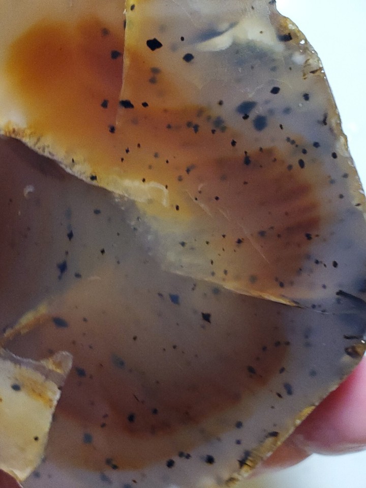 Montana Yellowstone River Agate Rare Sagenite Lapidary 390g Rough ...