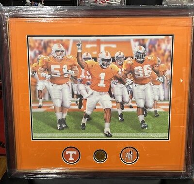 Tennessee Volunteers Big Orange Large Framed Print Rare Go Vols | eBay