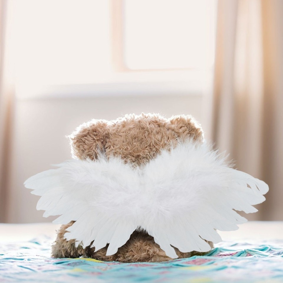 Wings for Ornaments Sculpture Wall Decoration Angel Party Layout Prop ...