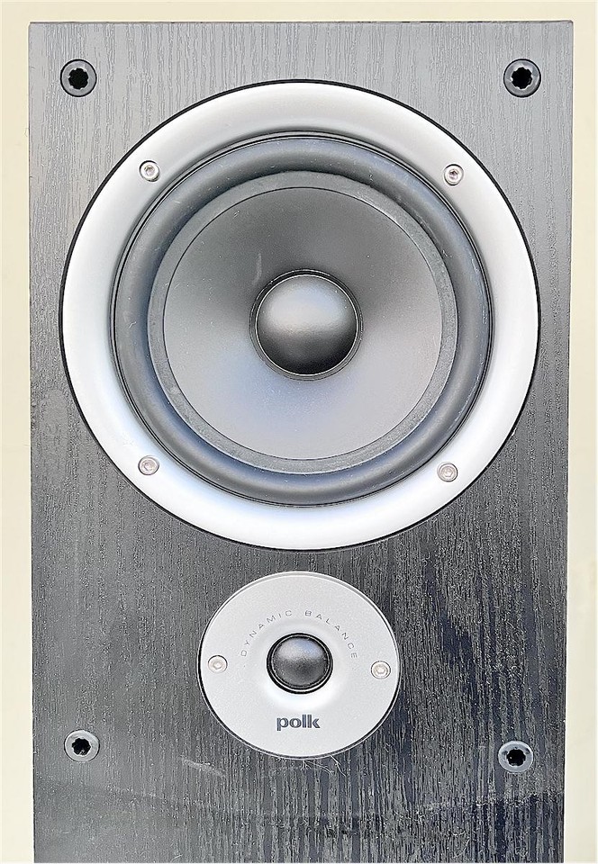 Polk Audio R300/AM3075-A/107R300 Single Floor-Standing Speaker | eBay
