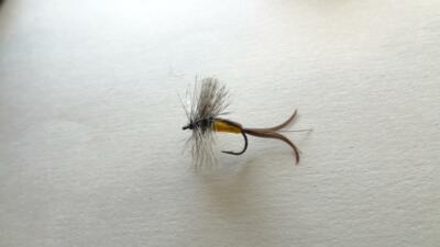 1 DOZ DF-5 EASTERN GREEN DRAKE (SELECT YOUR SIZE) DRY FLY | eBay