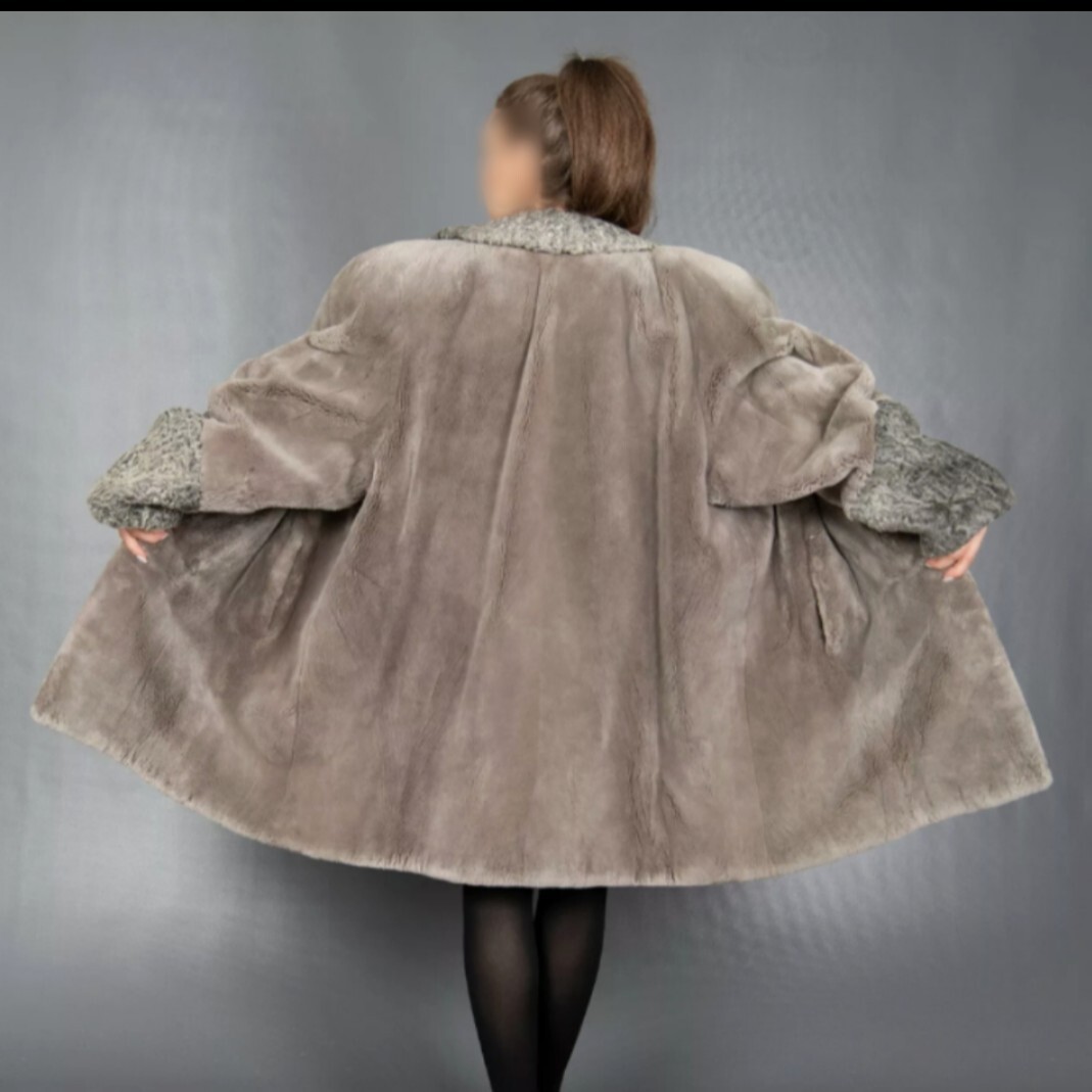 BEAUTIFUL GENUINE GREY SHEARED BEAVER WITH PERSIAN FU… - Gem