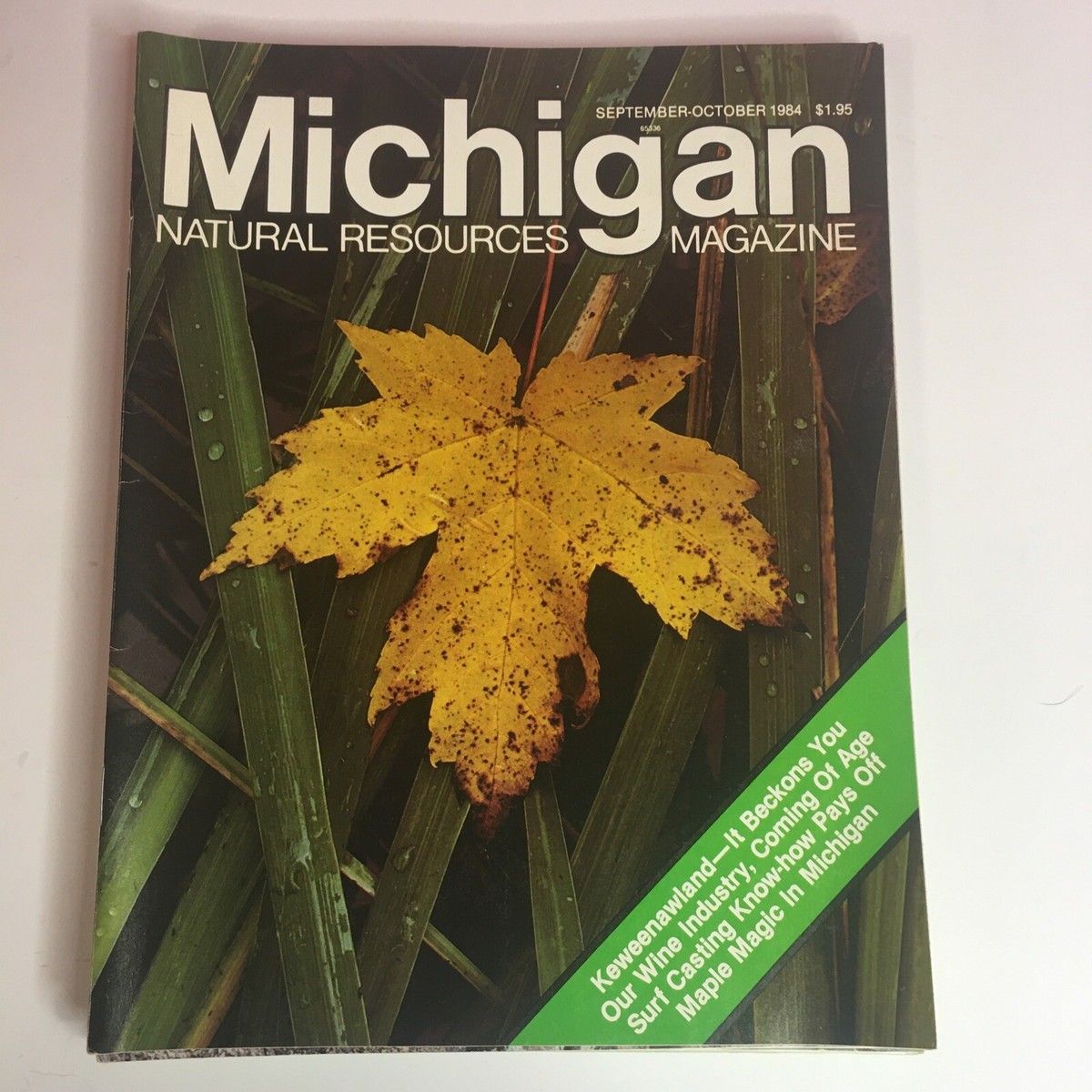 Michigan Natural Resources Rep. Markkanen Proposing Tailored Natural