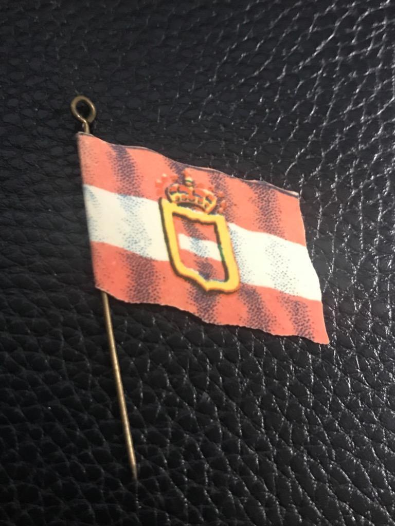 Vintage Celluloid plastic Flag Pin - Austria - Cruver Co. - Pre WWI (c ...