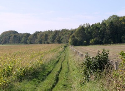 Photo A3 2011 : Byway open to all traffic - hmmm Codford St Peter That ...
