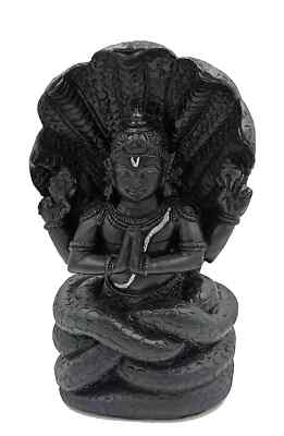 Founder of Yoga Guru Lord Patanjali Idol Black Yoga Studio Figurine H ...