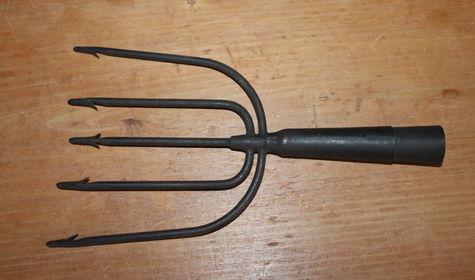 Antique 5 Tine Fish Eel Frog Hand Gig Tool Spear Fishing Fork Head | eBay
