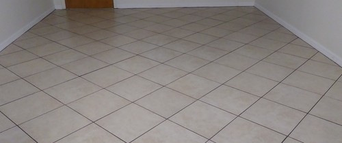 Tavy Tile Puck Marble Level& Lippage Detector for sale online | eBay