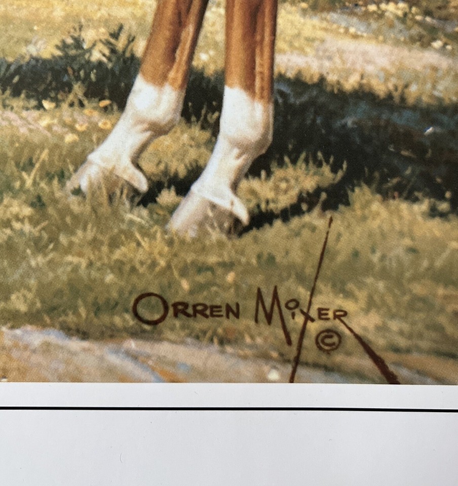 ORREN MIXER THE IDEAL AMERICAN QUARTER HORSE PRINT STALLION VINTAGE 24 ...