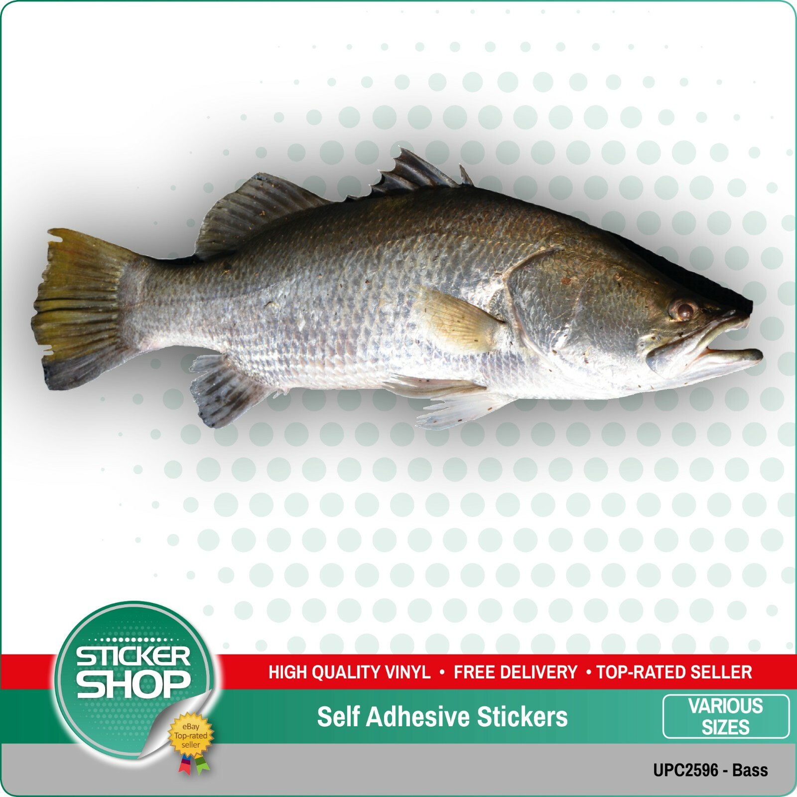 VARIOUS FISH - PRINTED DECAL STICKER - FISHING / SAILING - CHOICE OF ...