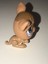 Littlest Pet Shop Kangaroo Brown Blue #LPS 682 | eBay