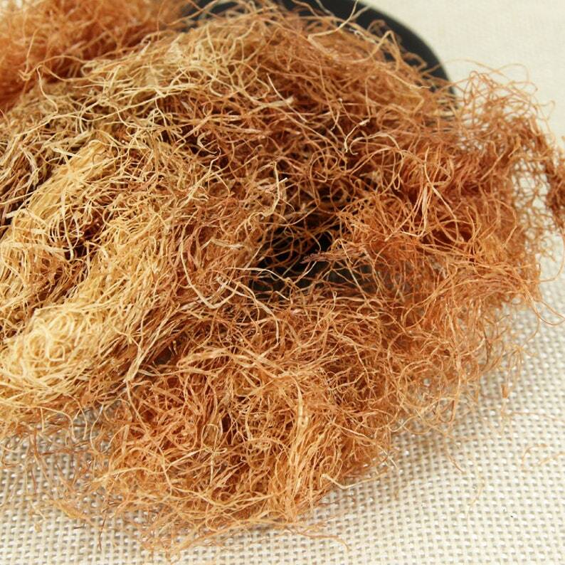 250 GR Corn Silk, Corn Mustache Tea, Stigmata Maydis Dried Herbal Tea ...