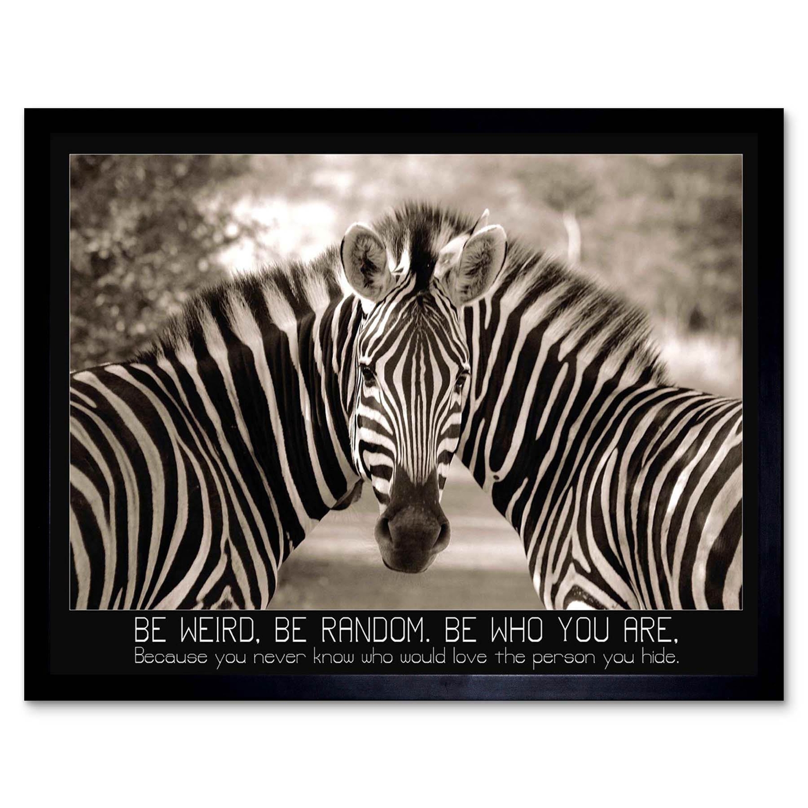 Be Weird Random Zebra Quote Motivation Typography 12X16 Inch Framed Art ...