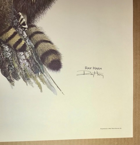 Ray Harm 1968 Hand Signed Print Raccoon | eBay