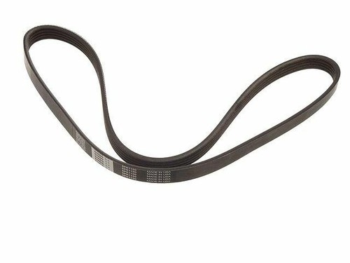 Primary Multi Rib Belt 4YJW91 for Dodge Sprinter 2500 3500 2008 2007 | eBay