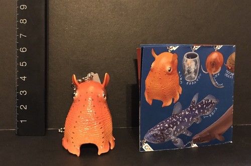 Kitan Club Deep Sea Flapjack Octopus Pancake Devilfish PVC Figure ...