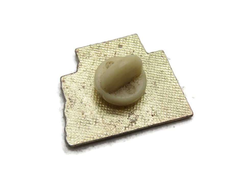 North Dakota Sioux State Pin Red & Gold Tone | eBay