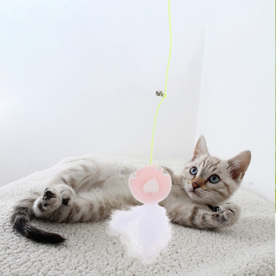 Cat Dangle Toy Retractable Cat-teasing Stick Wand Enrichment Toys | eBay UK