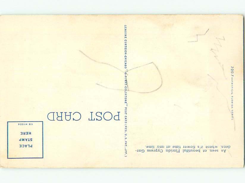 Linen CYPRESS GARDENS GIRL Winter Haven by Lakeland & Lake Wales FL j ...