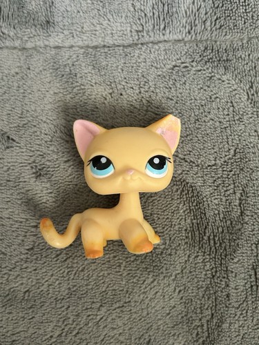 Hasbro Littlest Pet Shop Shorthair Cat Brooke Hayes #339 LPs Popular ...