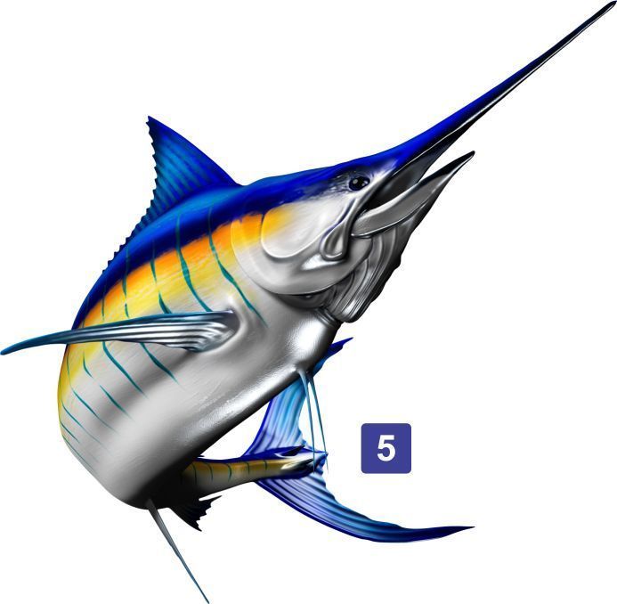 Stripped Marlin Vinyl Sticker Fish Decals for Boat Car Vehicle Truck ...