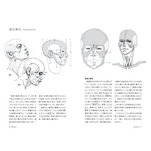 Draw from bone Morpho Human Body Drawing Mini Series Technique Guide ...