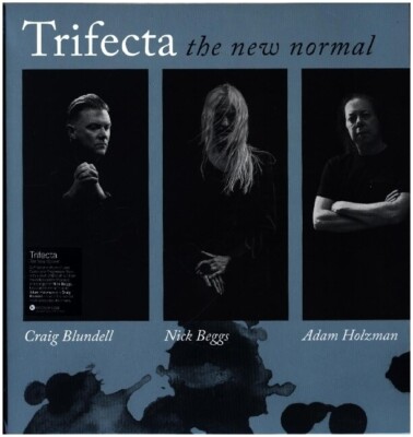 The New Normal (Black Vinyl 2LP) | Langspielplatte | von Trifecta | eBay.de