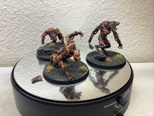 Warhammer Fantasy Warriors of Chaos SKIN WOLVES Built Painted BD62813 ...