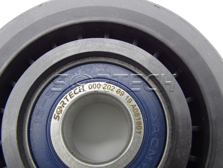 Drive Belt Tensioner Idler Pulley for Mercedes 0002020919 M112 M113 ...