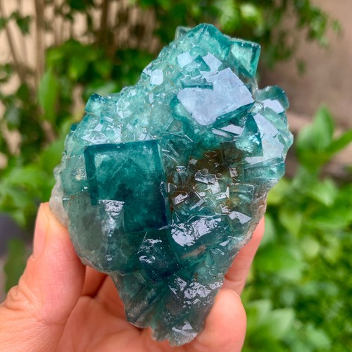 286G Natural Green FLUORITE Quartz Crystal Cluster Mineral Specimen | eBay