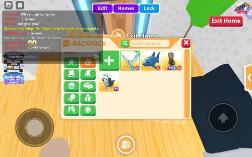 Roblox account with really good adopt me pets and 6k robux | eBay UK