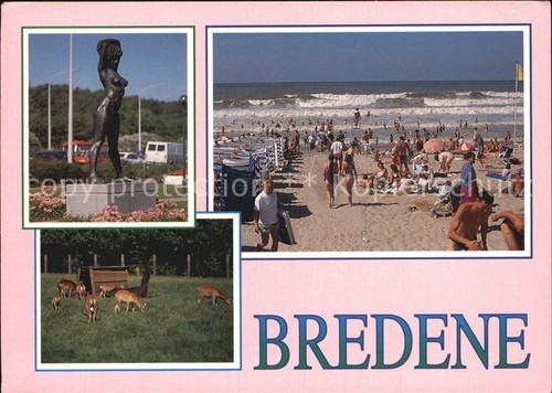 Bredene Strand Denkmal Wildpark | eBay.de