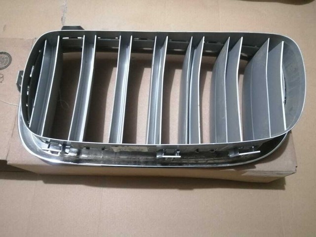 OEM BMW X5 Right Passenger Side Grille Scratches 51117303108 for sale ...