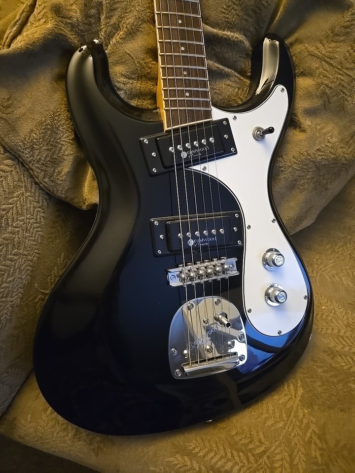 Wow! Eastwood Sidejack Pro Deluxe/mint/Gorgeous | eBay