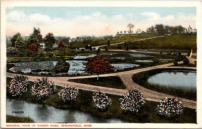 Forest Park Springfield Massachusetts Postcard White Border Unposted ...