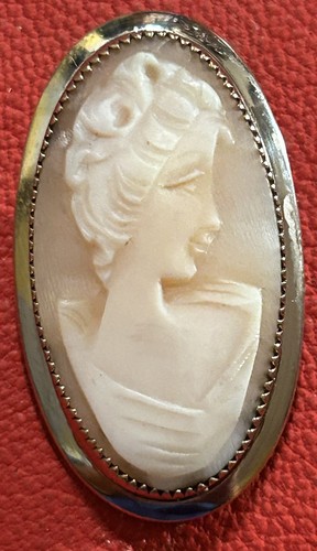 ANTIQUE Exquisite Shell Victorian Cameo Brooch Pendant. Lot #2390. | eBay
