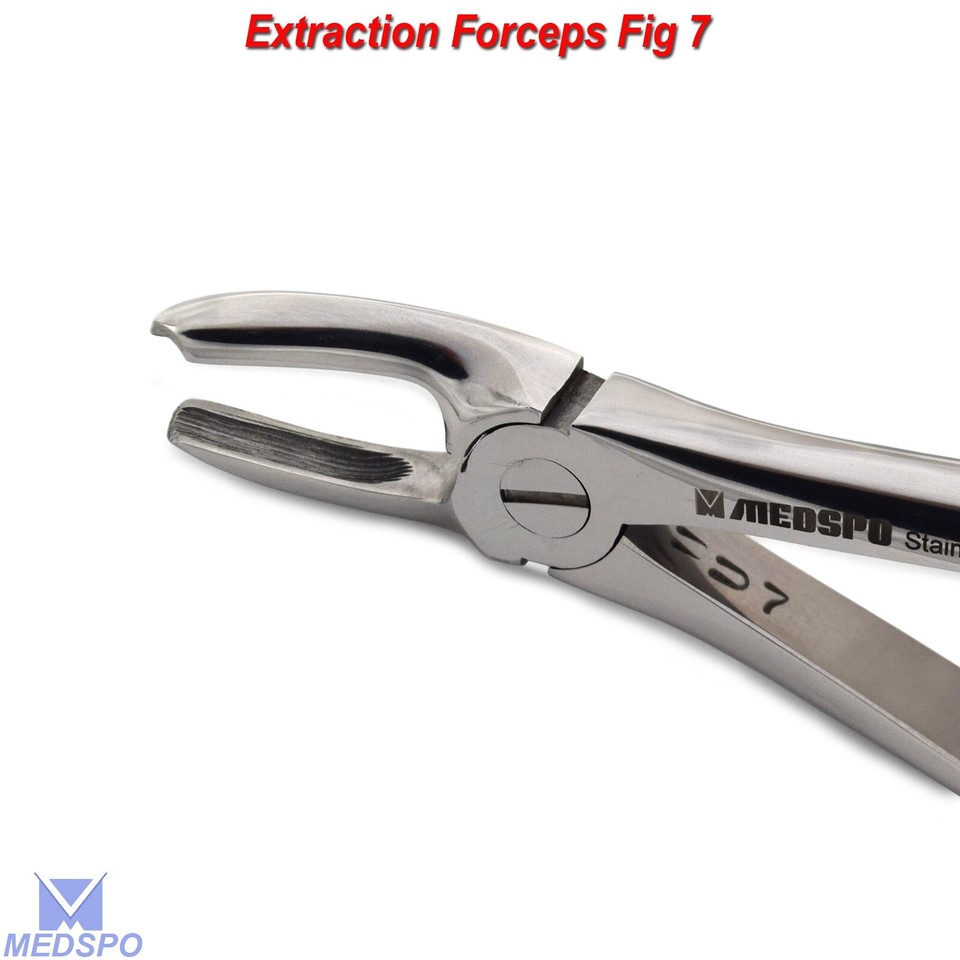Surgical Tooth Extraction Forceps Fig 7 Upper Premolar Extracting ...