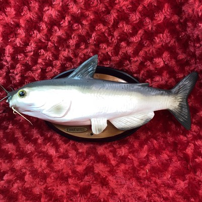 Novelties & Gifts - Singing Talking Fish