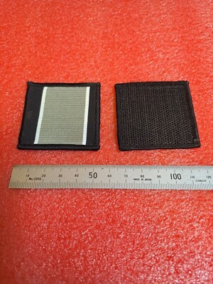 Tactical recognition flash, TRF, hook and loop backed, rare infantry ...