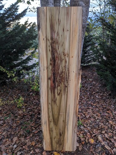 Tulip Poplar (Rainbow) slab (Live Edge) Spalted. Wide Slab, Great ...